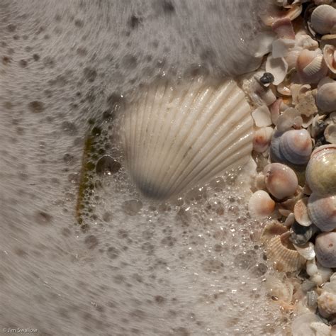 Image result for Selection Project Square Photo