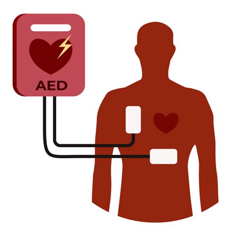 Image result for Defibrillation