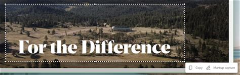 Image result for Where Does Web Capture Copy Go