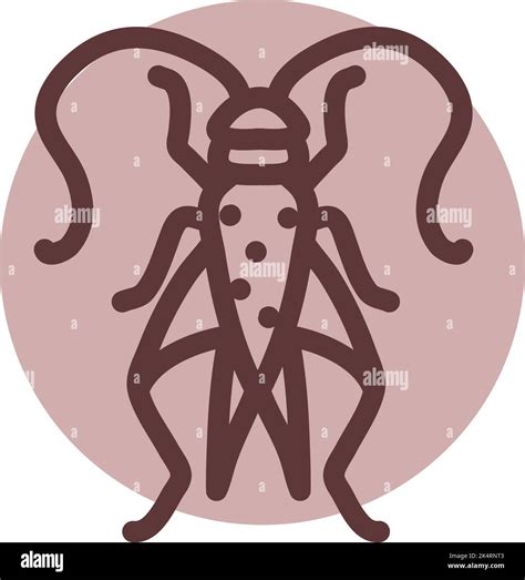 Image result for Cockroach Line Art