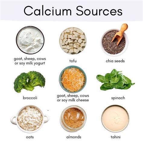 Image result for Calcium Sources