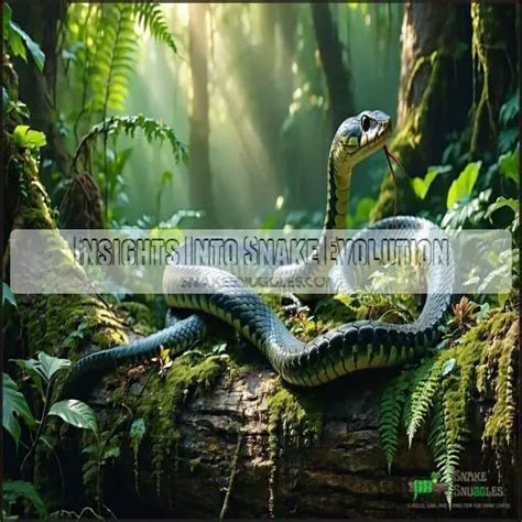 Image result for Snakes Origins Explained