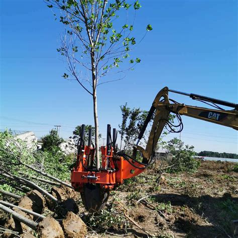 Image result for Lift Machine for Tree