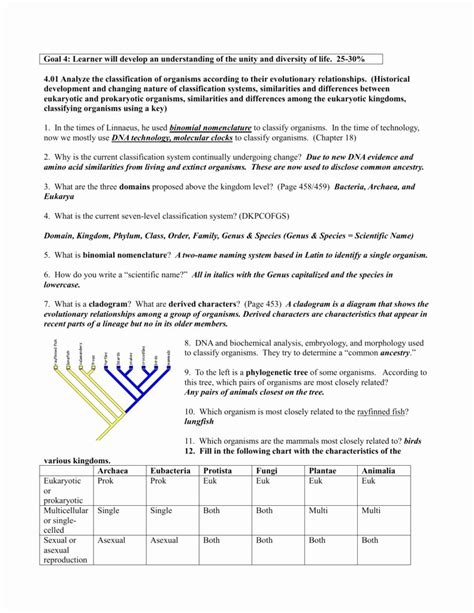 Image result for Classification Example Worksheet
