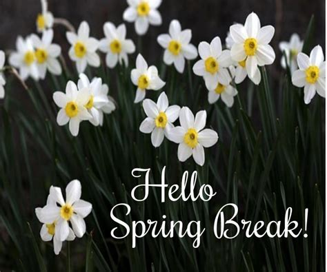 Image result for Hello Spring Break
