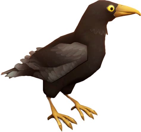 Image result for Hello Neighbor Crow Man