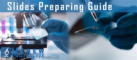Image result for Preparing Simple Microscope Slides