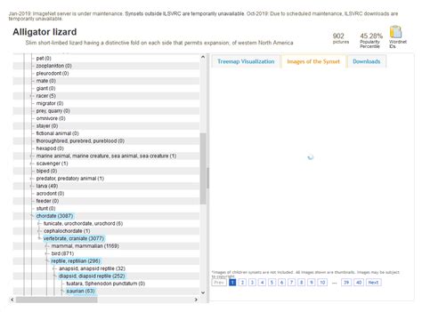 Image result for ImageNet Class