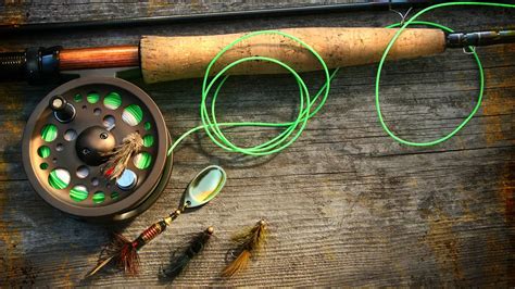 Image result for Fly Fish Cast