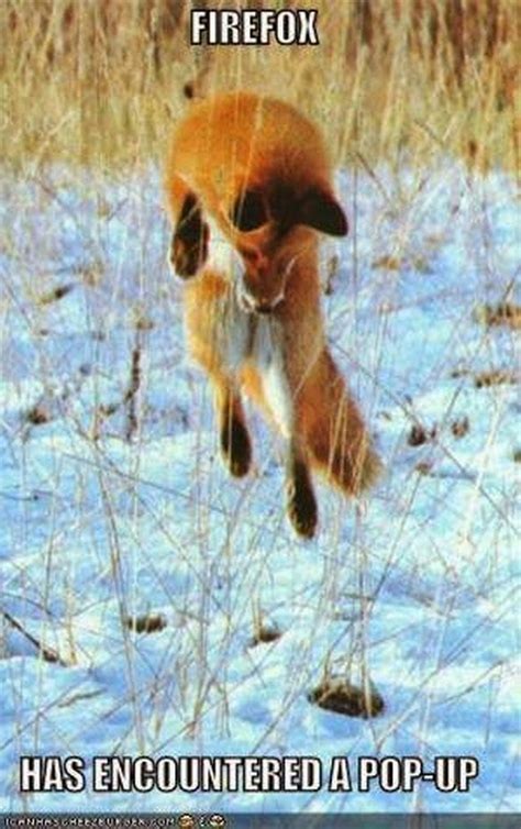 Image result for Computer Humor Videos