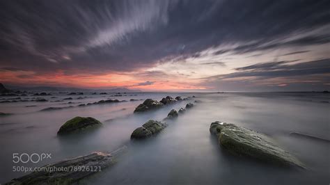 Image result for Examples of Line in Photography