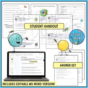 Image result for CellQuest Tutorial