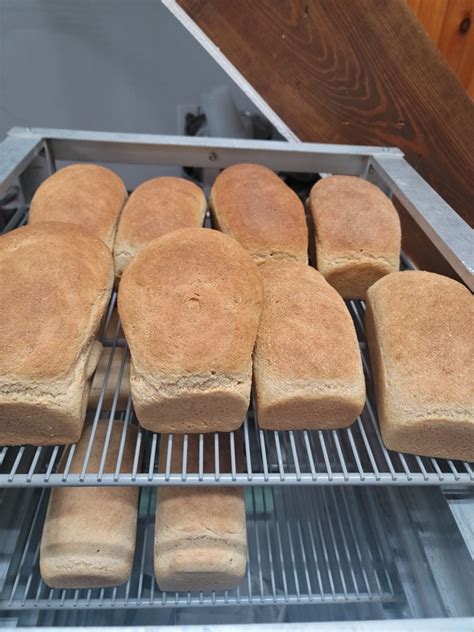 Image result for Basic Bread Dough