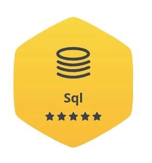 Image result for HackerRank Gold Badge