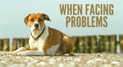 Image result for Facing Problems