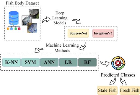 Image result for Flow Regime Classification Machine Learning