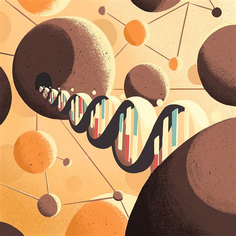 Image result for The Human Brain Map Project