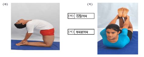 Image result for Model Activity Tax Class 7 Part 6