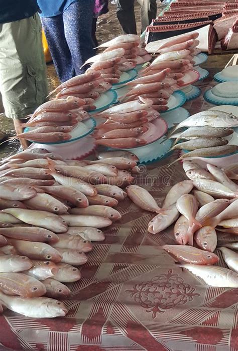 Image result for Fresh Cooked Fish