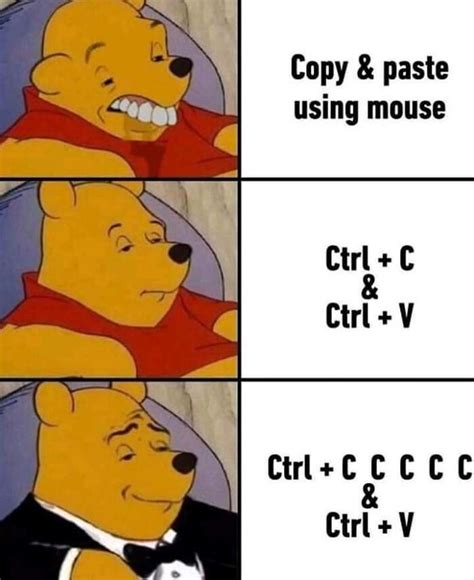 Image result for Computer Programming Humor