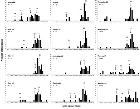 Image result for Frequency Range of Shell Types
