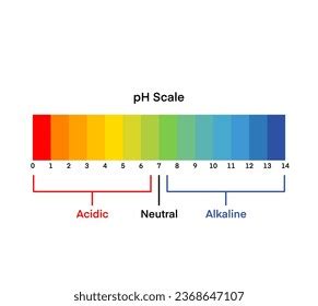Image result for How to Calculate Speed Formula