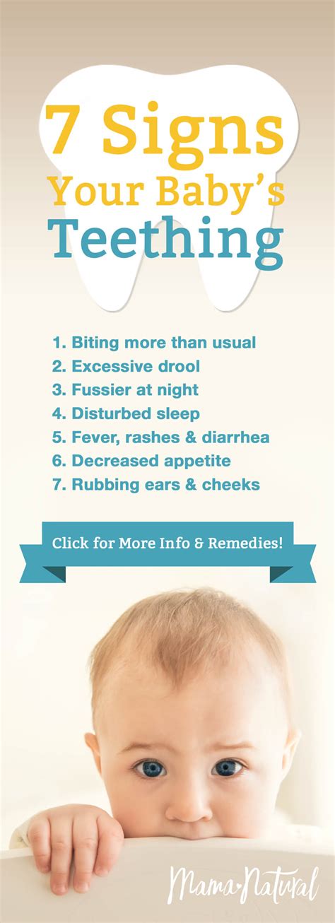 Teething Symptoms: 7 Signs Your Baby is Teething