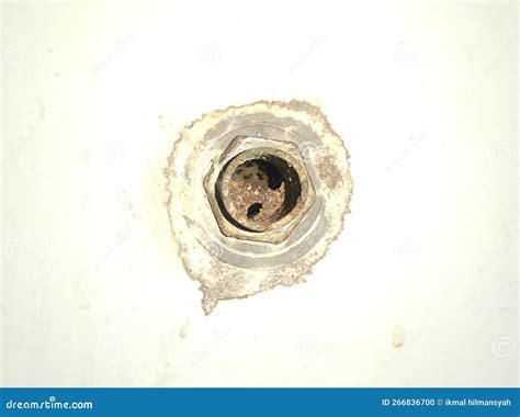 Image result for Pear Rust Circle