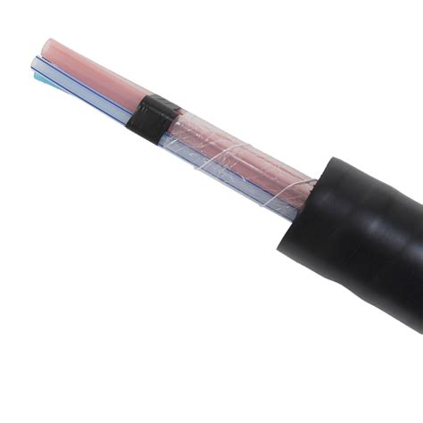 Image result for Coil or Python