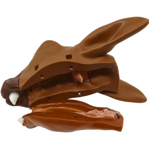 Image result for Rabbit Intubation