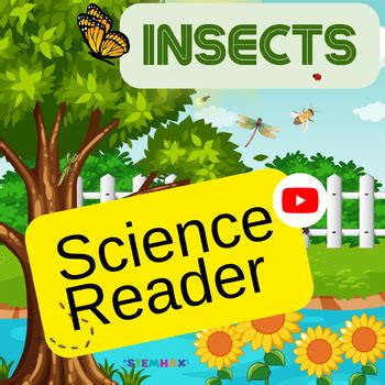 Image result for My First Insect Book