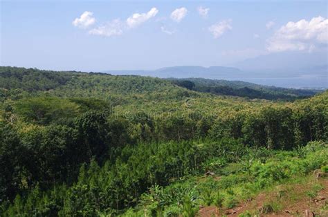 Image result for Java Island Landscape