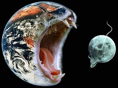 Image result for Alien Earth Cat