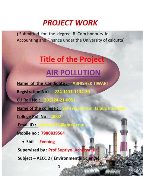 Image result for Pollution Project