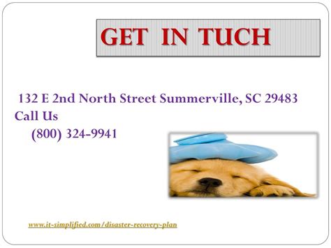 Image result for AVImark Veterinary Software Training