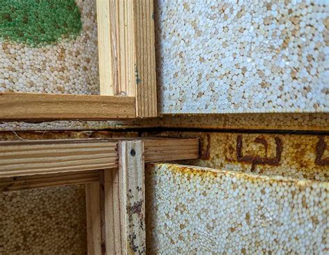 Image result for Poly Nuc Box