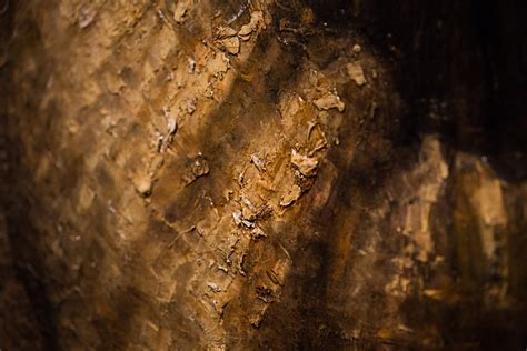 Image result for The Jewish Bride