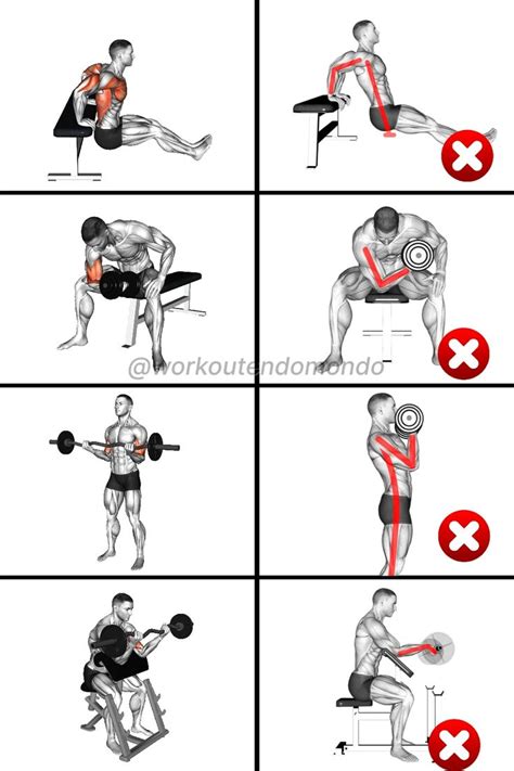 Image result for Arm Exercise Routine