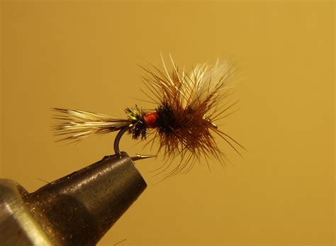 Image result for Royal Coachman Fly Pattern