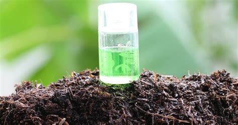 Image result for Compost Methods Test Temperature Cover