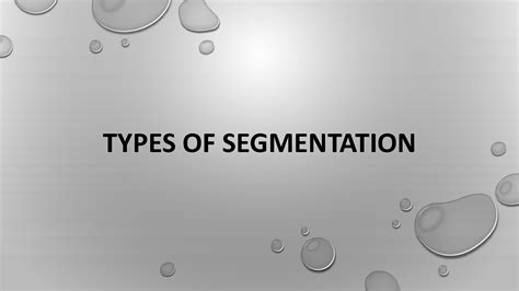 Image result for Types of Segments