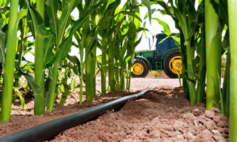 Image result for Subsurface Drip Irrigation System