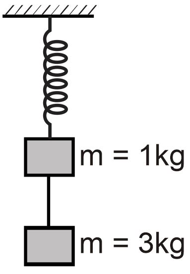 Image result for SHM in Vertical Spring