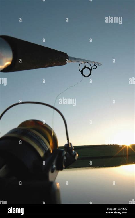 Image result for Fish Rod Cast Out