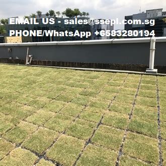 Surface Automatic Irrigation System - Singapore Specialized Engineering ...