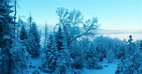 Image result for Tehachapi Snowfall