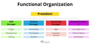 Image result for Example of Classification in Reading and Writing