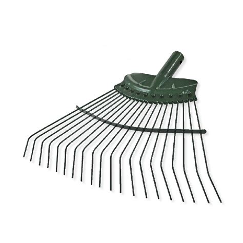 Image result for Springbok Rake