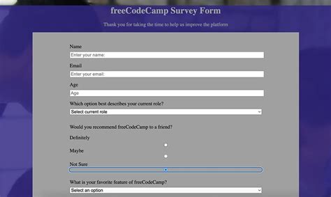 Image result for Freecodecamp Survey Form