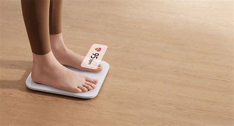 Image result for How to Set a Body Composition Scale